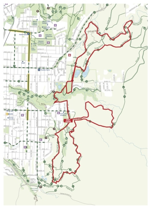 Port Alberni – Vancouver Island Trail Running Series